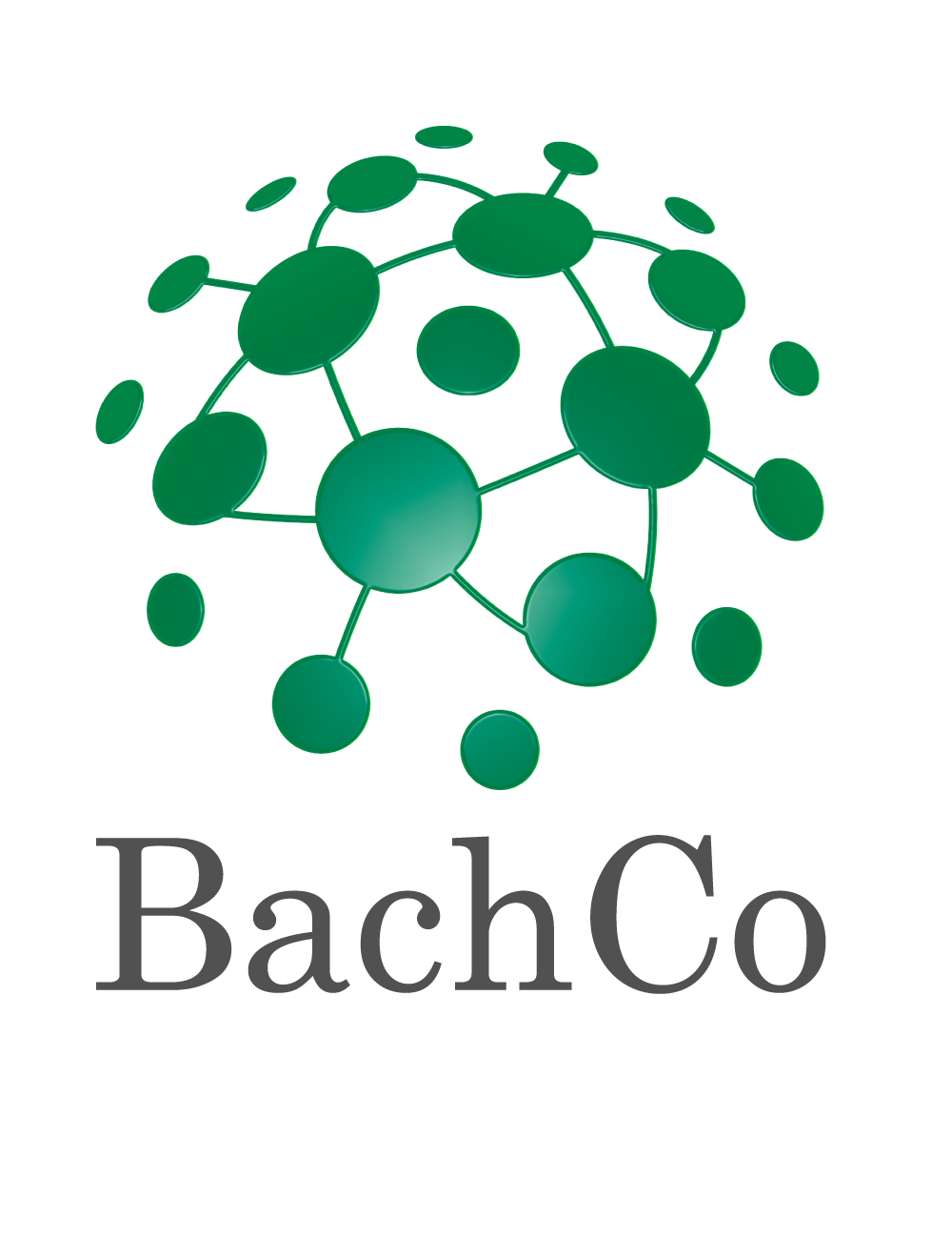 index - BachCo Capital
